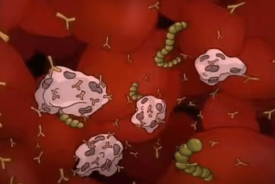 My Top 13 Favorite Episodes of ‘The Magic School Bus’ – The Animation ...